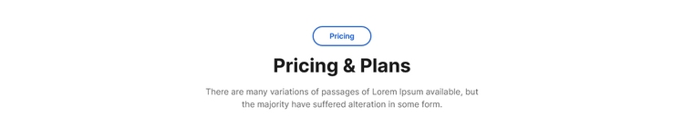 HTML Bootstrap Section Title Snippets